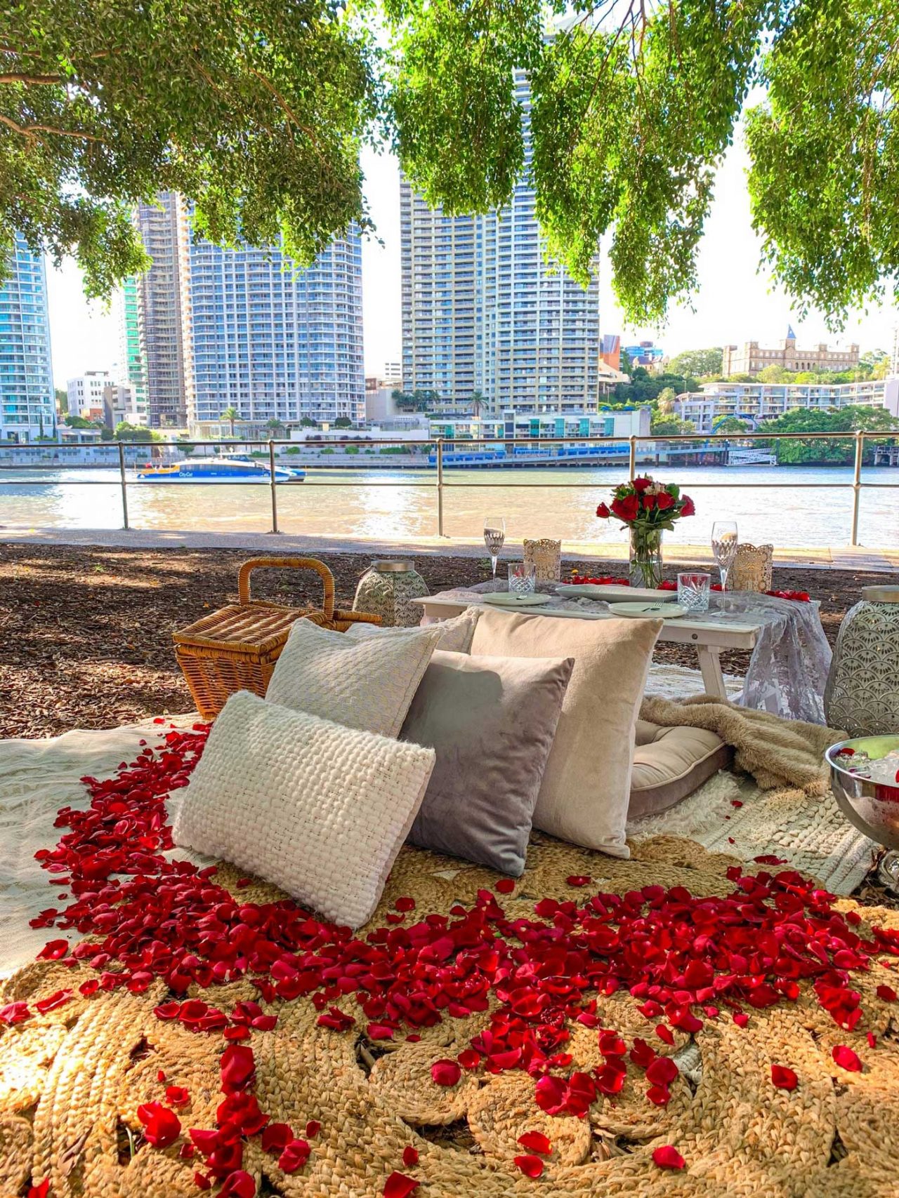 Proposal Picnic | Lady Brisbane: Brisbane Picnics and News